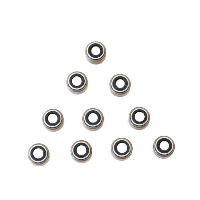 Athena Valve Stem Seals Kit - P400485420612 | FortNine Canada