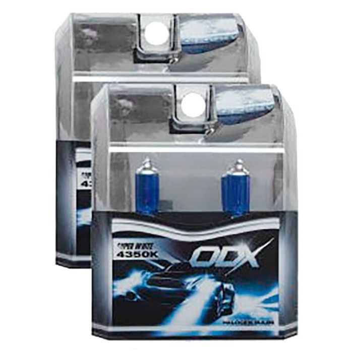 ODX H10 Halogen Bulbs | FortNine Canada
