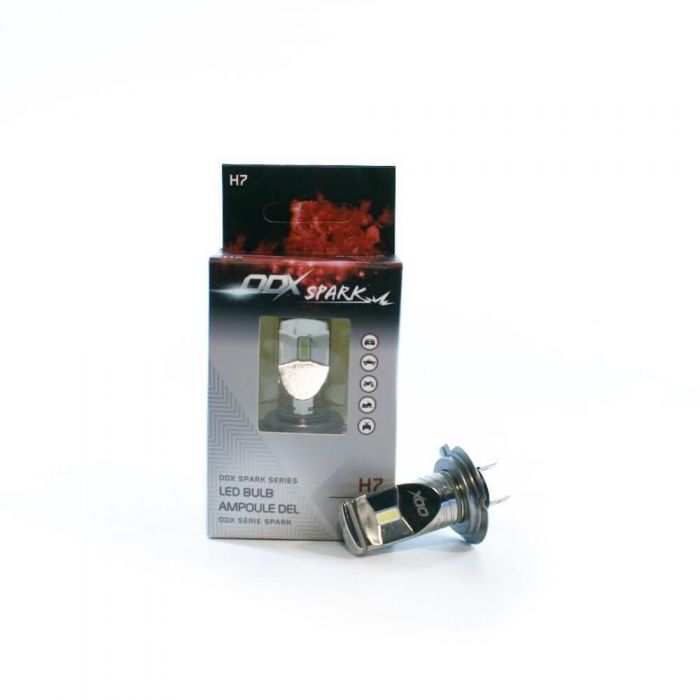 Shop ATV & Quad Bulbs | FortNine Canada